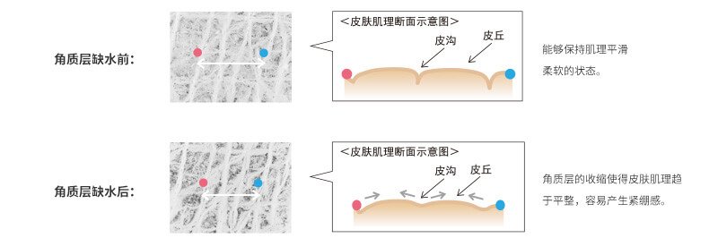 IPSA The Time R Day Essence Stick e 9.2g-Japan Online Shopping - Hommi
