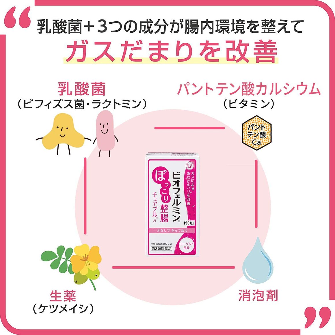 大正制藥 BIOFERMIN 乳酸菌咀嚼片酸奶味改善腸道 兩款選-日本代購直送 - Hommi