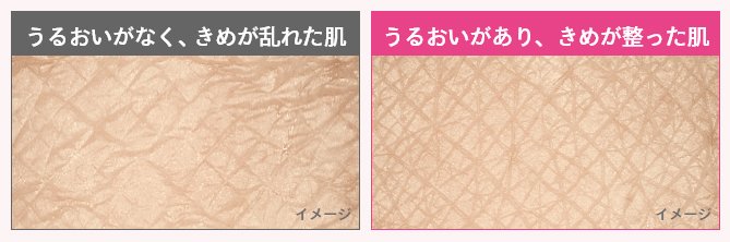 d program 敏感肌濃密美容液 強效滋養精華液 敏感肌保濕修復藥用濃密美容精華液 45ml-台灣-日本代購直送 - Hommi