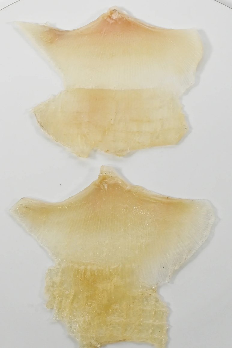 Dried Grilled Ray Fin (Eihire) - Japan Online Shopping - Hommi