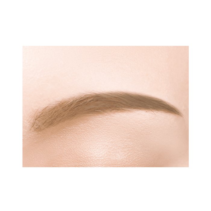 CEZANNE Nose & Eyebrow powder - Japan Online Shopping - Hommi