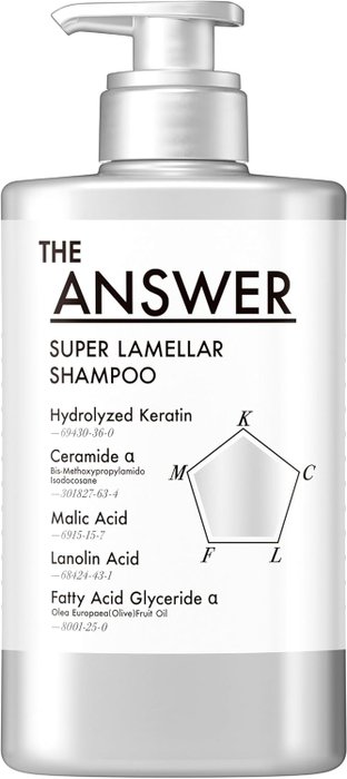 KAO THE ANSWER SUPER LAMELLAR SHAMPOO 400ml 320ml Repair & Smooth ...